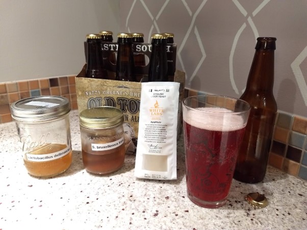 Evaluating the probiotic capacity of beer – NutriBites